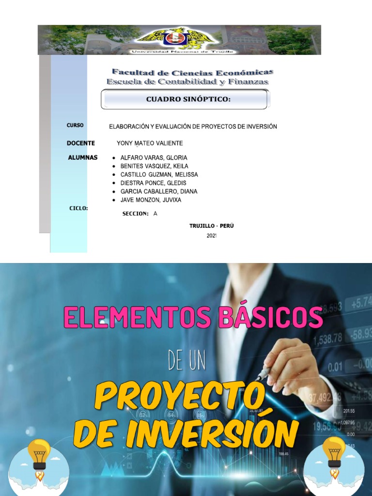 Proyectos de Inversion-Cuadro Sinoptico | PDF | Tasa interna de retorno ...