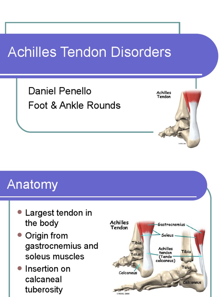 Achilles Tendon Disorders: Daniel Penello Foot & Ankle Rounds | PDF ...