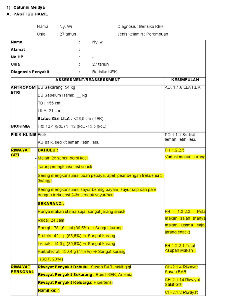 Menu Seimbang untuk Ibu Hamil Berisiko KEK dan Anemia | PDF