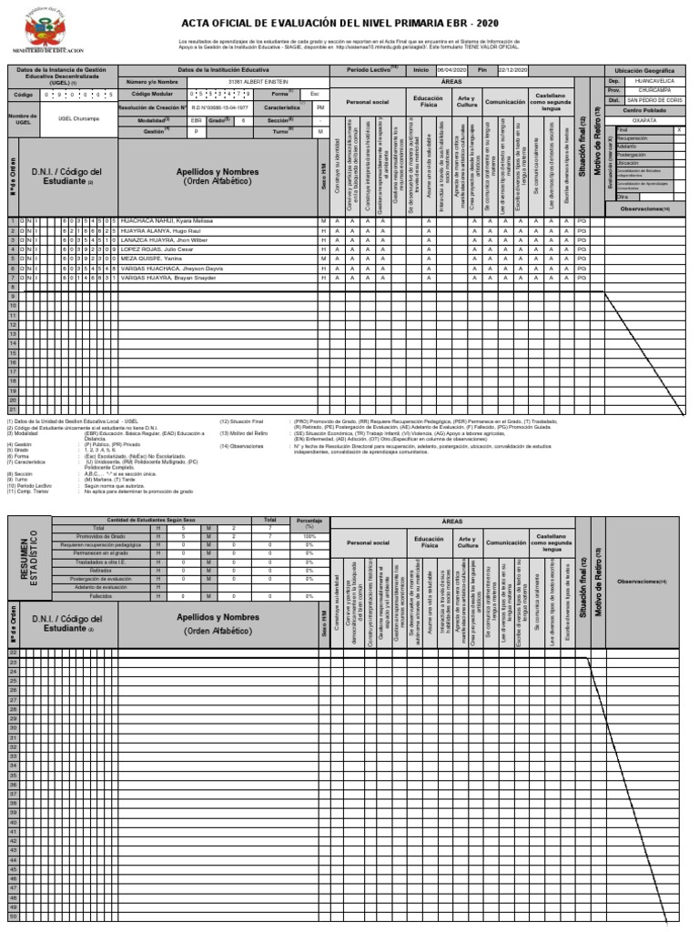 RPT Formato Oficial | PDF