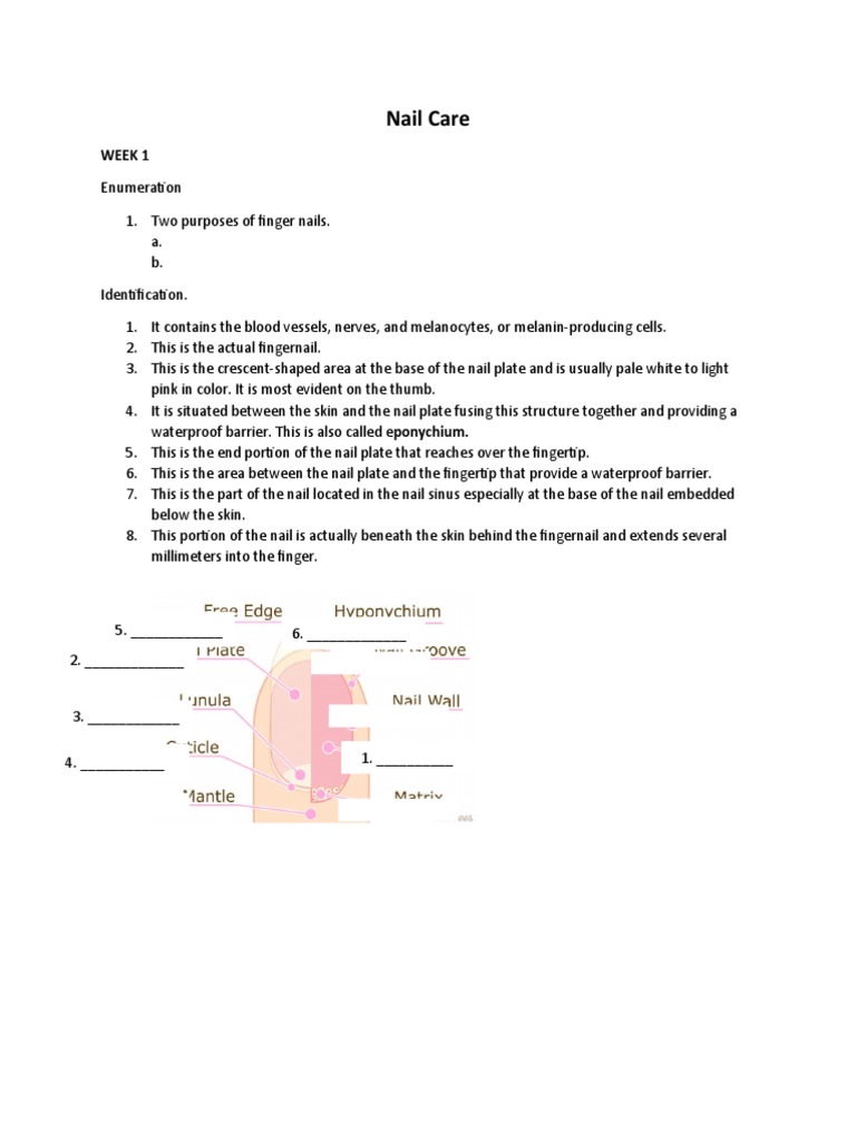 Nail Care | PDF | Nail (Anatomy) | Integumentary System