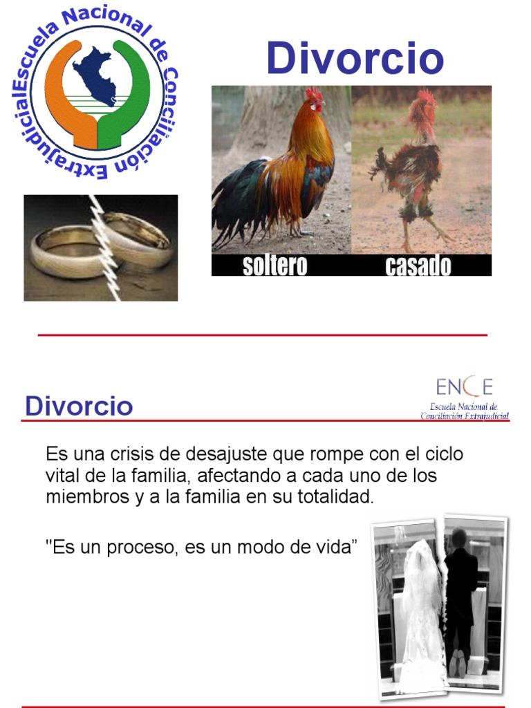 Impacto y Tipos de Divorcio Familiar | PDF | Divorcio | Dolor