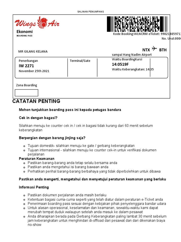 Boarding Pass Wings | PDF