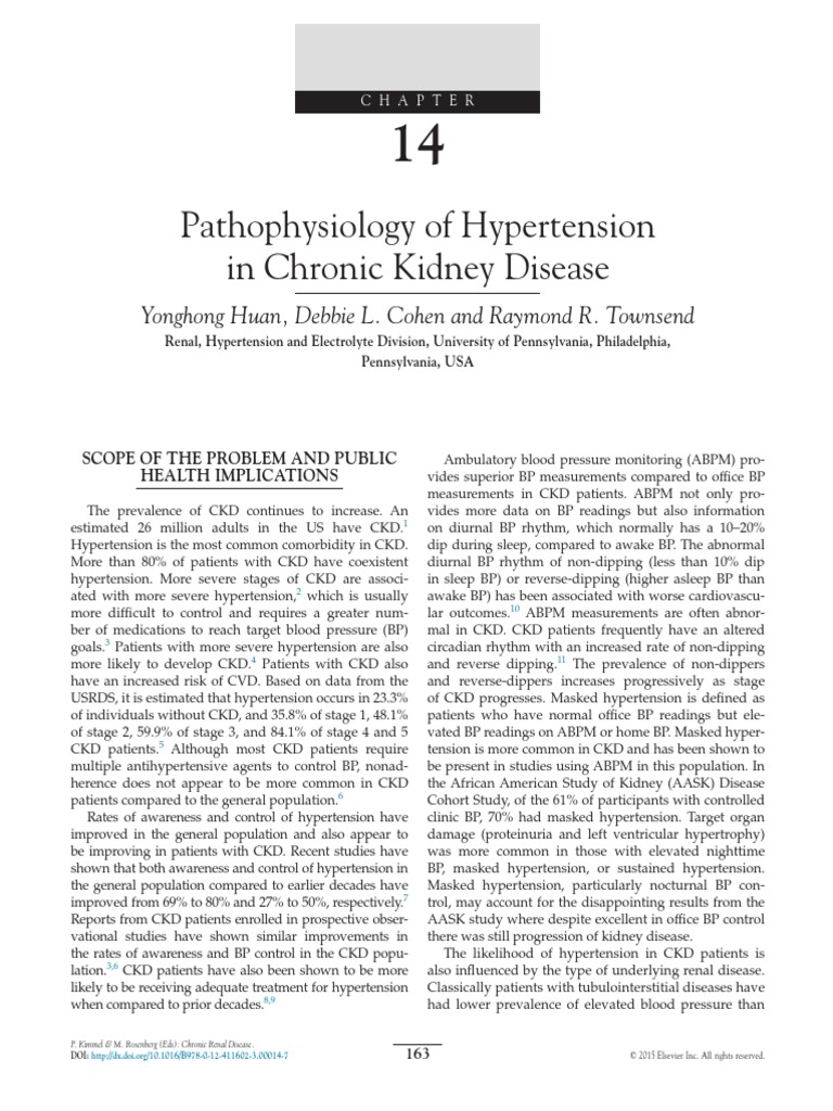 Pathophysiology of Hypertension in Chronic Kidney Disease | PDF ...