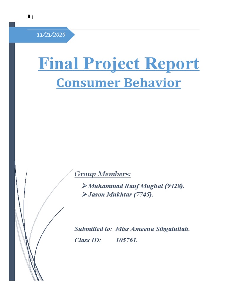 Consumer Behavior - Final Project Report | PDF | Brand | Unilever