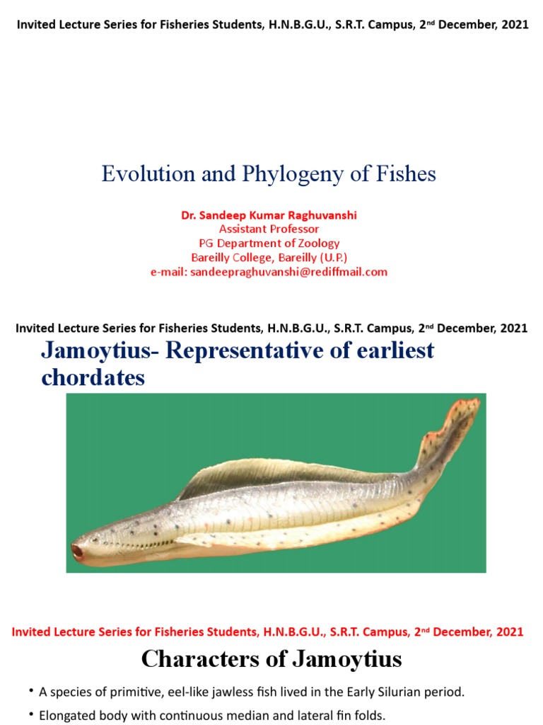 Evolution and Phylogeny of Fishes | PDF | Vertebrates | Fish