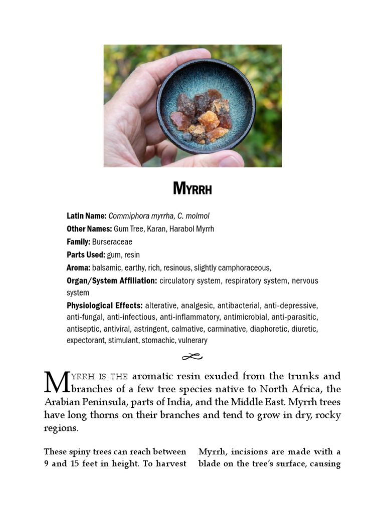 Myrrh Plant Monograph | PDF