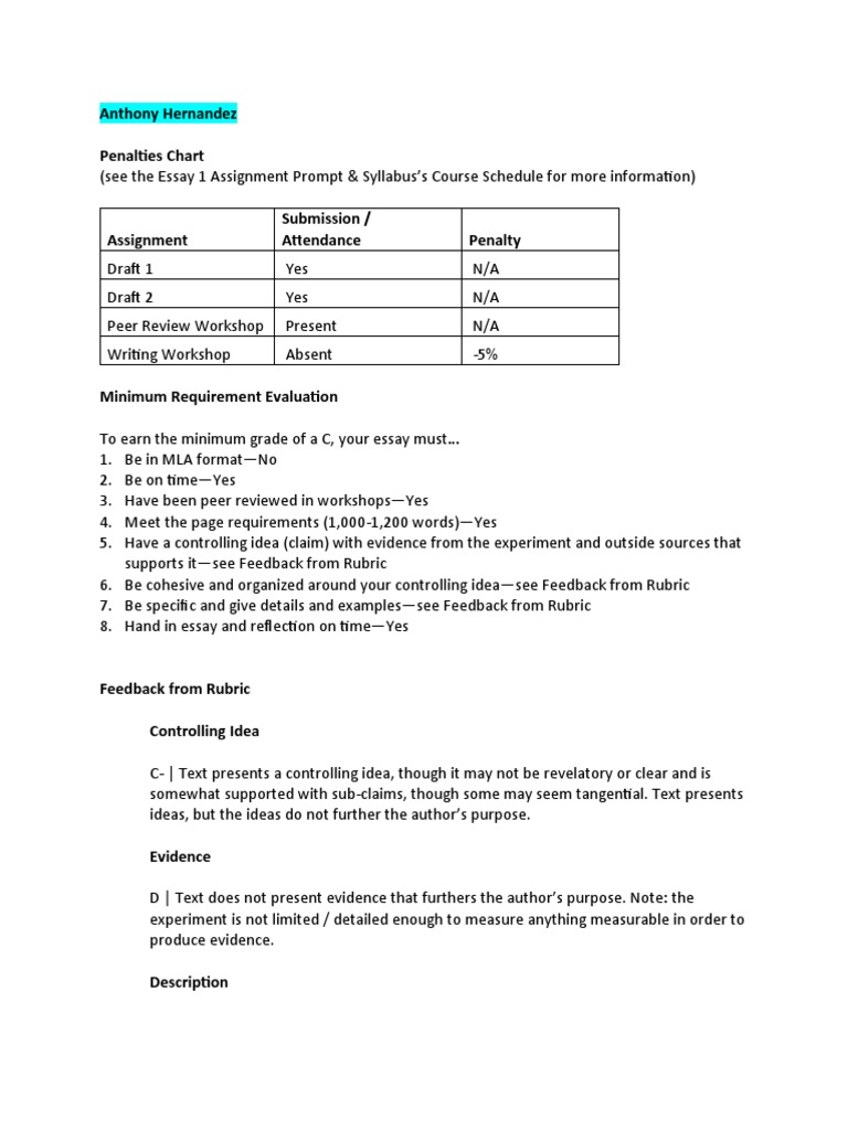 Instructor Feedback Essay 1 | PDF | Rubric (Academic) | Essays
