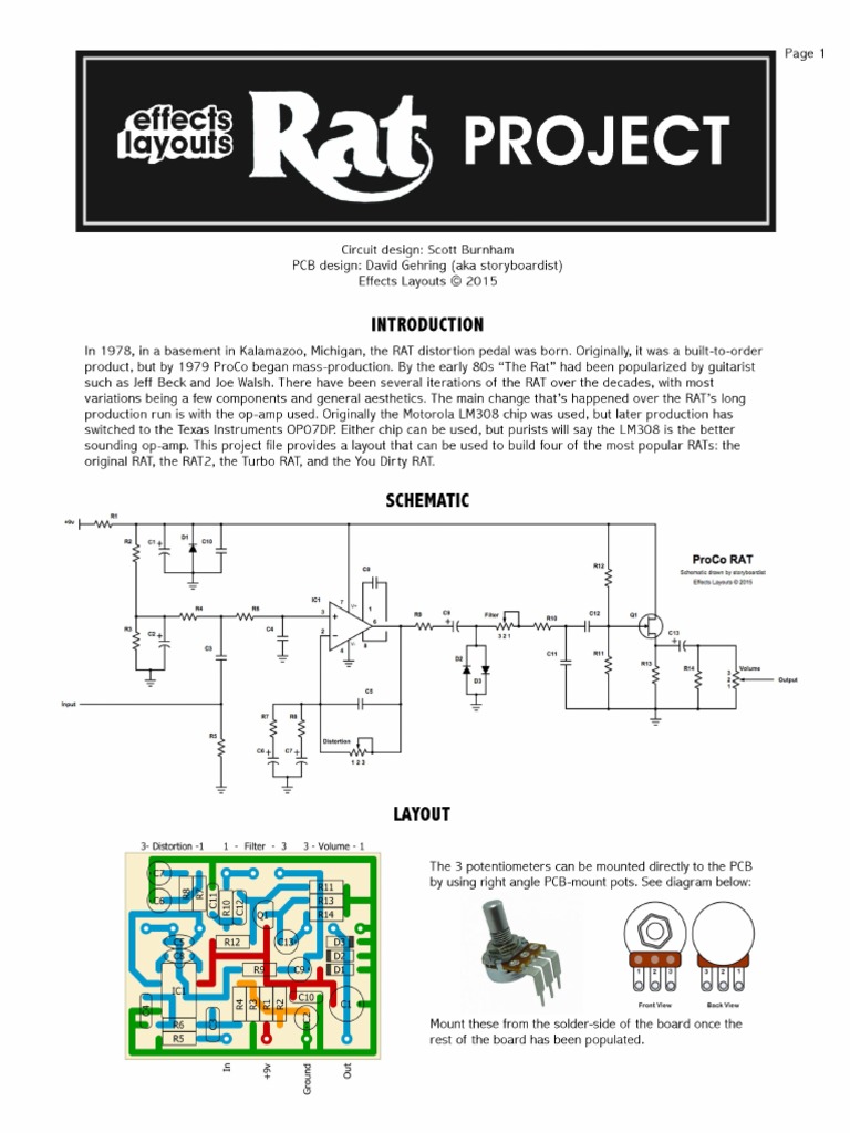 Pro CooL RAT Project | PDF