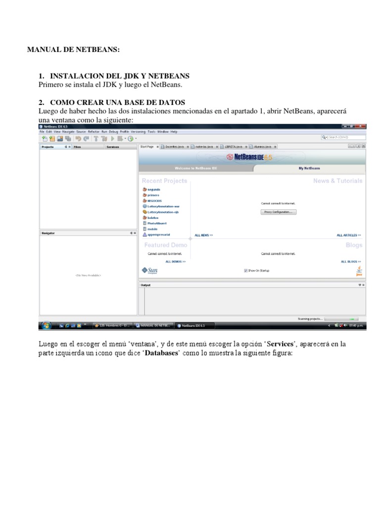Manual de Netbeans | PDF