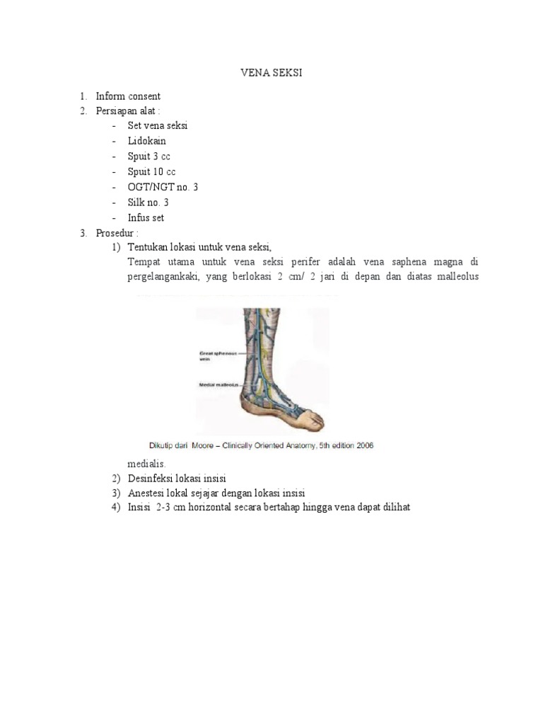 Vena Seksi | PDF | Teknologi & Rekayasa