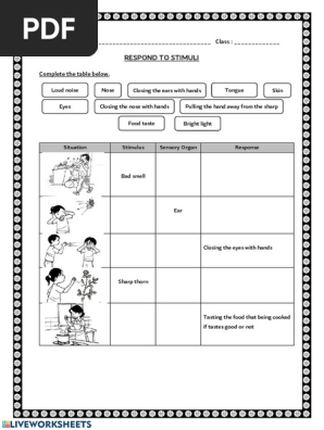 Stimulus Response Worksheet