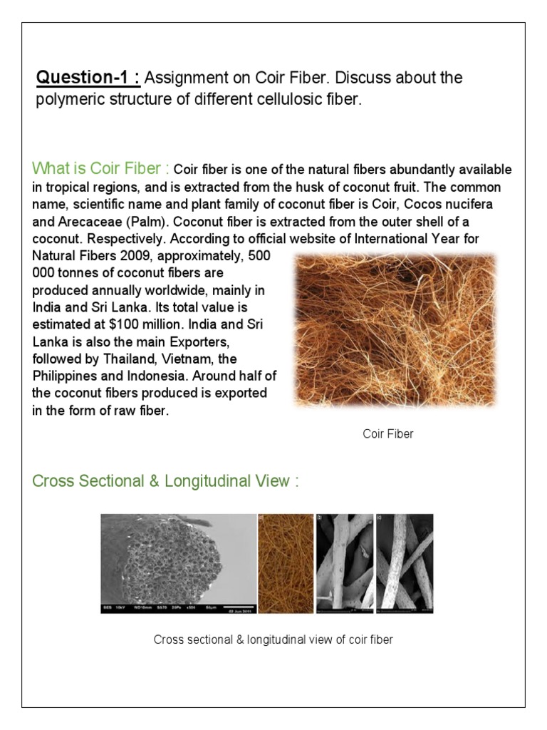 Assignment On Coir Fiber. Discuss About The Polymeric Structrue of ...