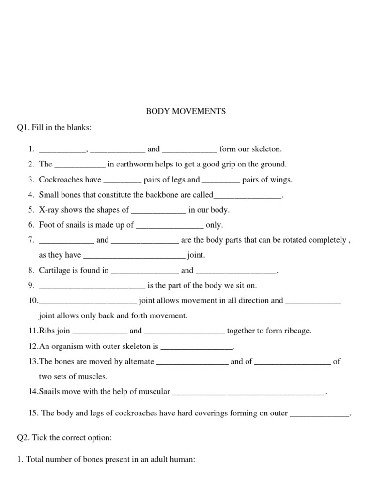 CBSE Class 6 Science Practice Worksheets | PDF | Skeleton | Skeletal System