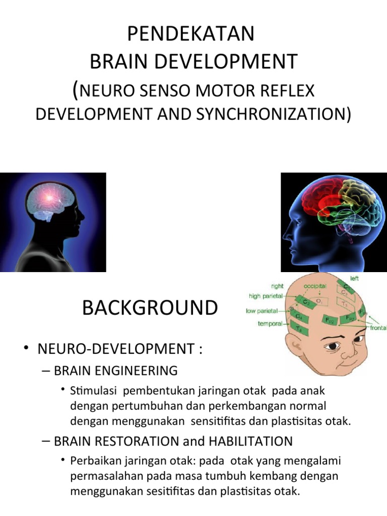 Pendekatan Brain Development (: Neuro Senso Motor Reflex Development ...
