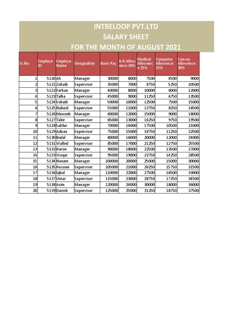 Salary Sheet Interloop PVT - LTD | PDF | Income | Wealth