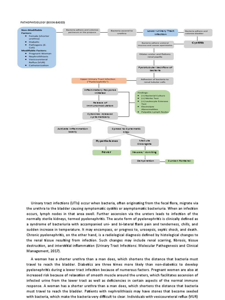 Pathophysiology (Book-Based) : Cystitis | PDF | Urinary Tract Infection ...