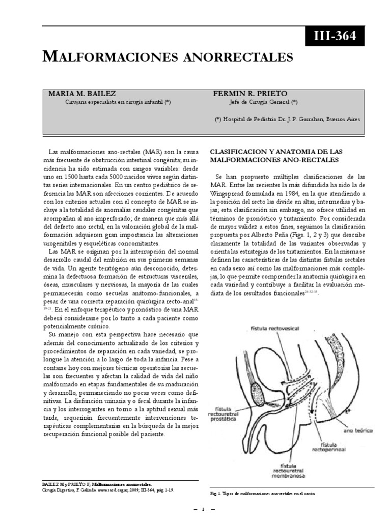 4-Malformaciones Anorrectales | PDF | Vagina | Recto
