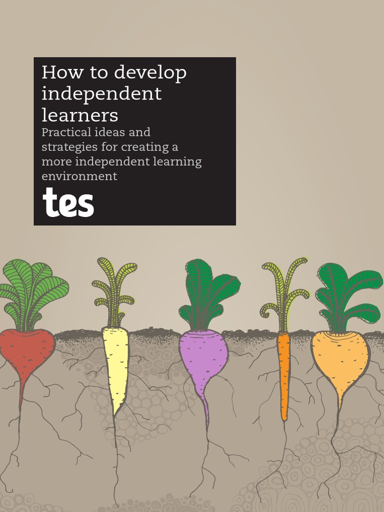 Tes Strategies To Develop Independent Learners | PDF | Learning | Teachers