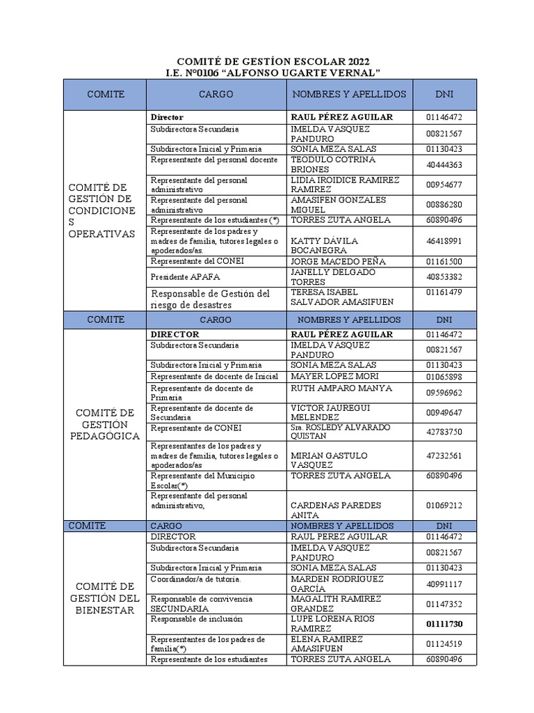 Comité y Comisiones 2022 | PDF
