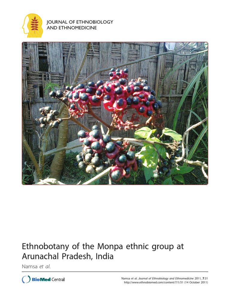NAMSA Nima D., & Al. - Ethnobotany of The Monpa Ethnic Group at ...