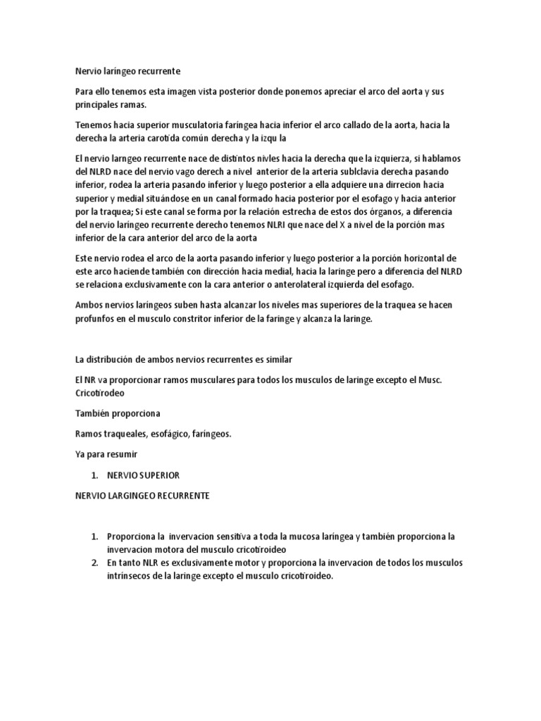 Nervio Laríngeo Recurrente | PDF | Clásicos