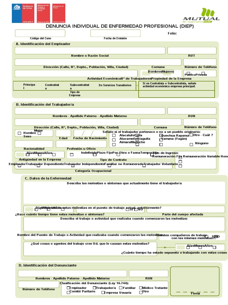 DIEP Formulario | PDF