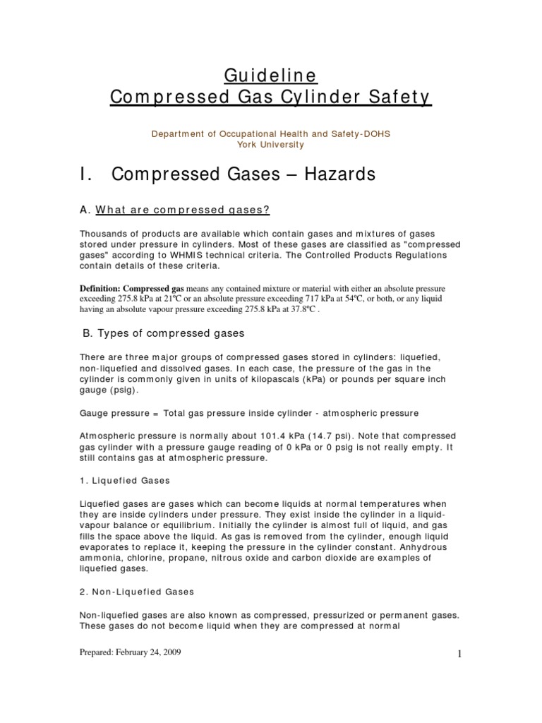 Guideline - Compressed Gas Cylinder Safety | PDF | Carbon Dioxide ...