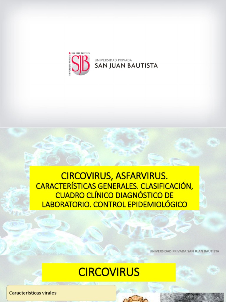 CLASE 10 Circovirus, Asfarvirus.2021 | PDF | Virus | Infección