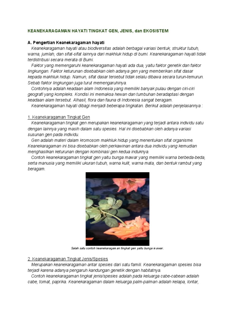 KEANEKARAGAMAN HAYATI TINGKAT GEN, JENIS, Dan EKOSISTEM | PDF | Sains ...