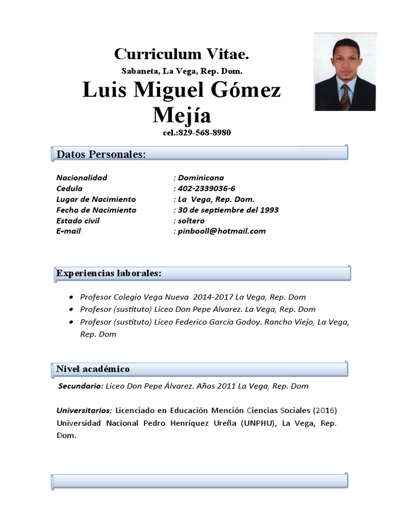 Curriculum Luis Miguel G | PDF