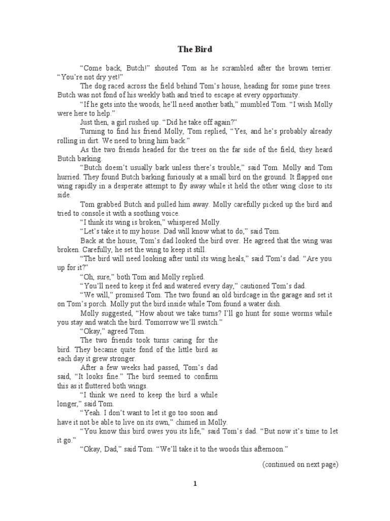 The Bird | PDF