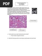 Sacred 7 Fundamental 4 | PDF