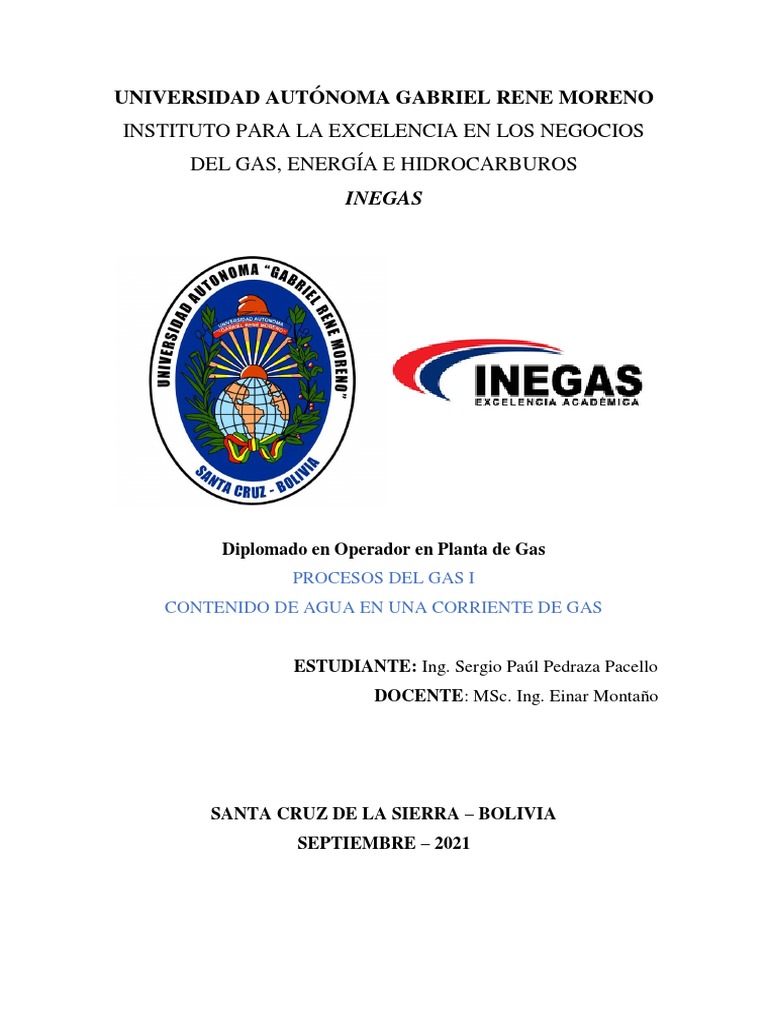 Tarea 2: Sergio Paul Pedraza Pacello | PDF | Gas natural | Agua