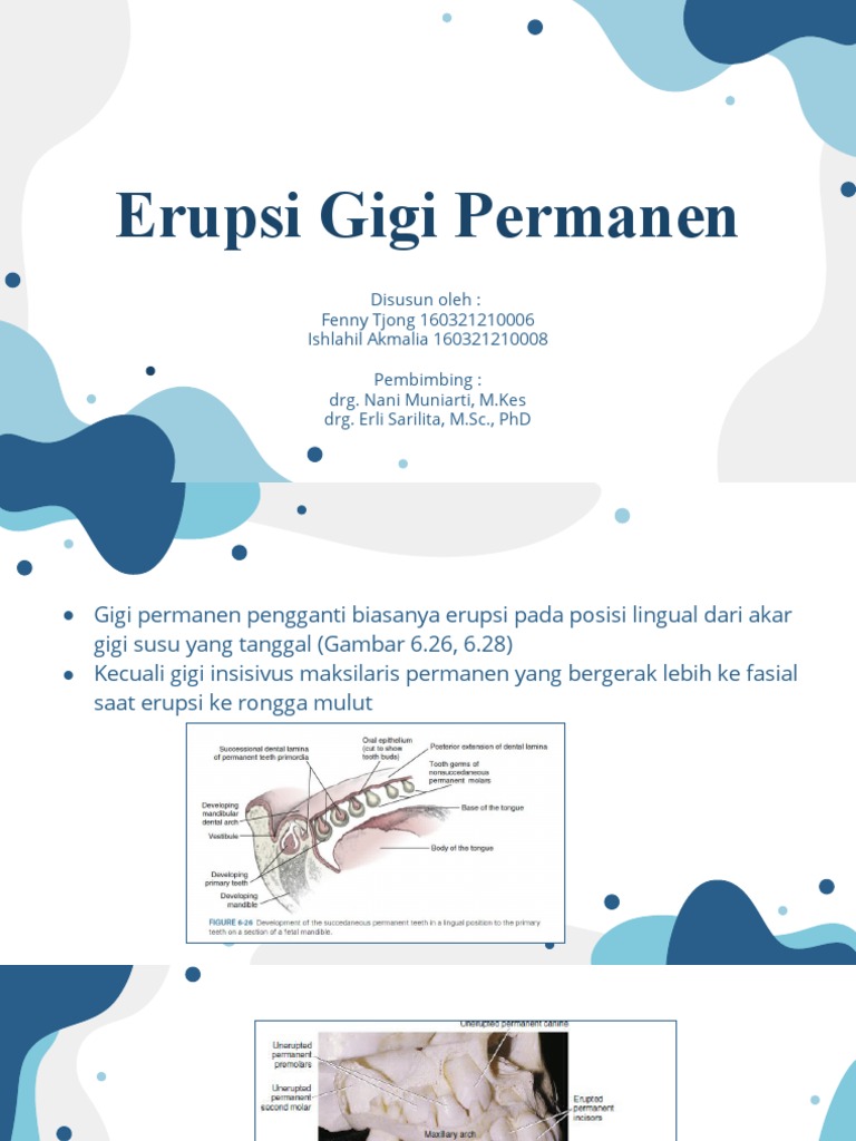 Erupsi Gigi Permanen | PDF