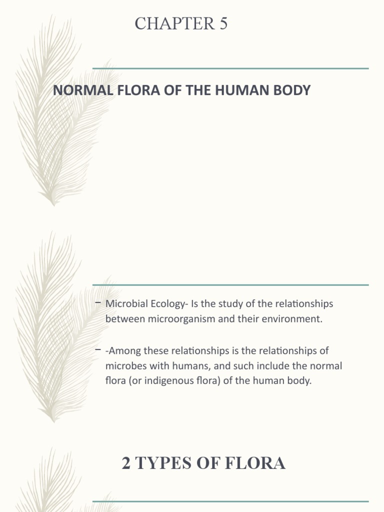 Normal Flora of The Human Body | PDF | Lactobacillus | Skin