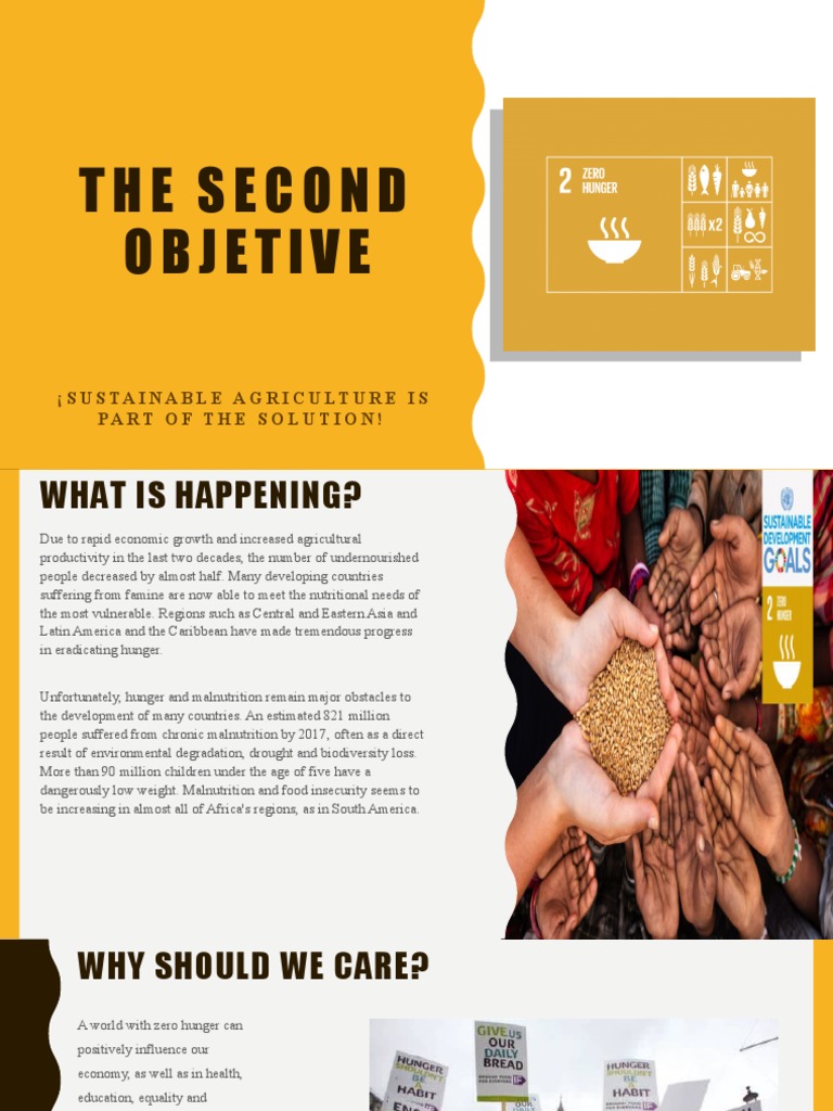 The Second Objetive Zero Hunger | PDF | Malnutrition | Hunger