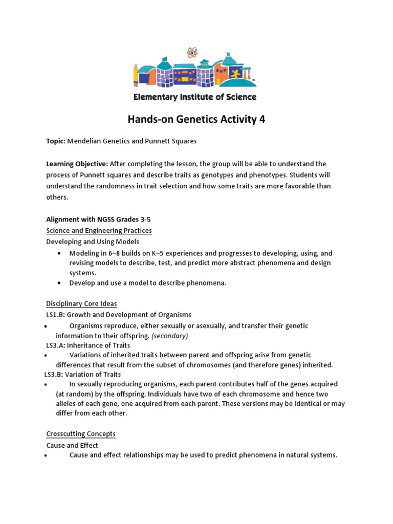 Genetics Activity 4 Mendelian Genetics and Punnett Squares | PDF ...