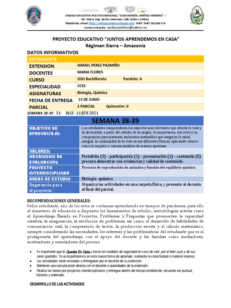 Ficha Pedagogica Proyecto 2 Segundo Bgu - 38 39 | PDF | Catálisis | Reacciones químicas