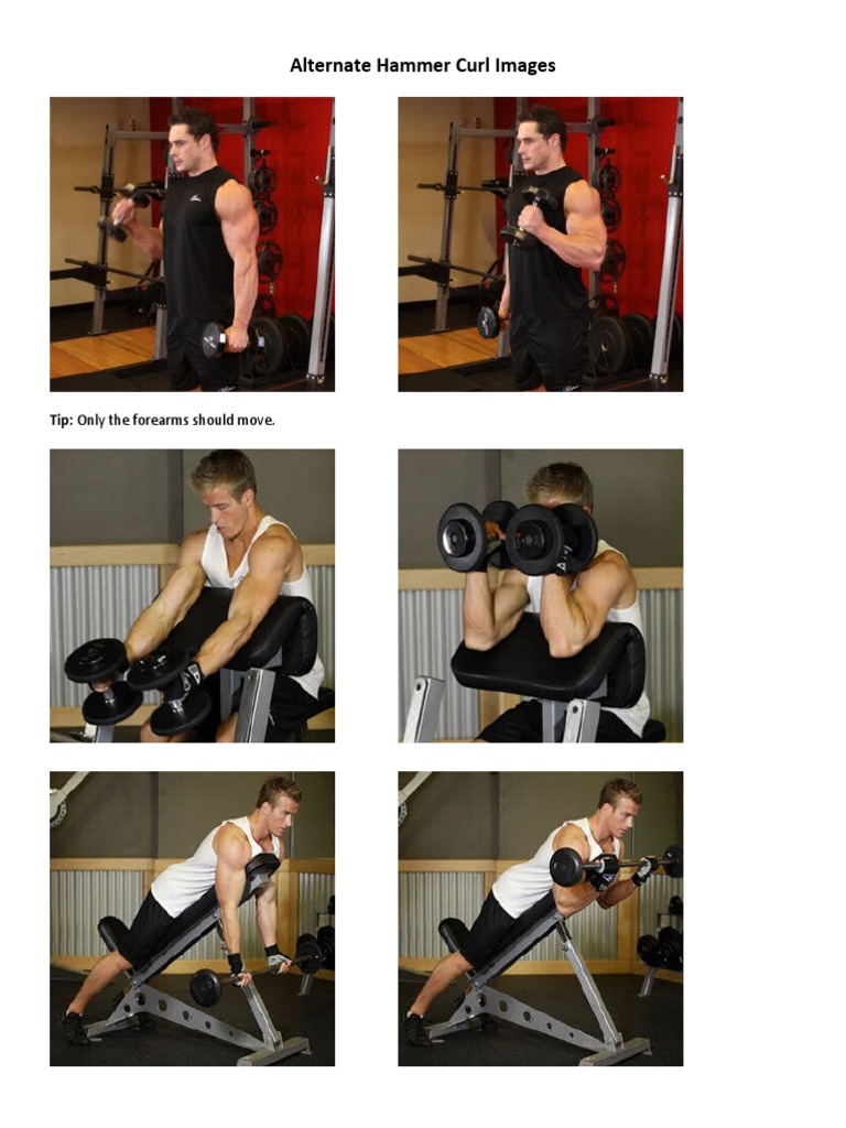Effective Biceps Workout Techniques | PDF