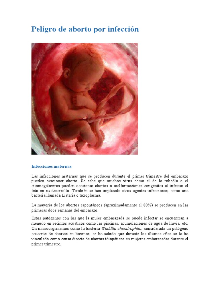 Peligro de Aborto Por Infección | PDF | El embarazo | Aborto espontáneo