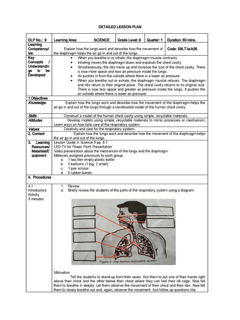 Lesson Plan in Science | Download Free PDF | Breathing | Respiratory System