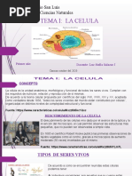 Celula Actividad para Completar | PDF