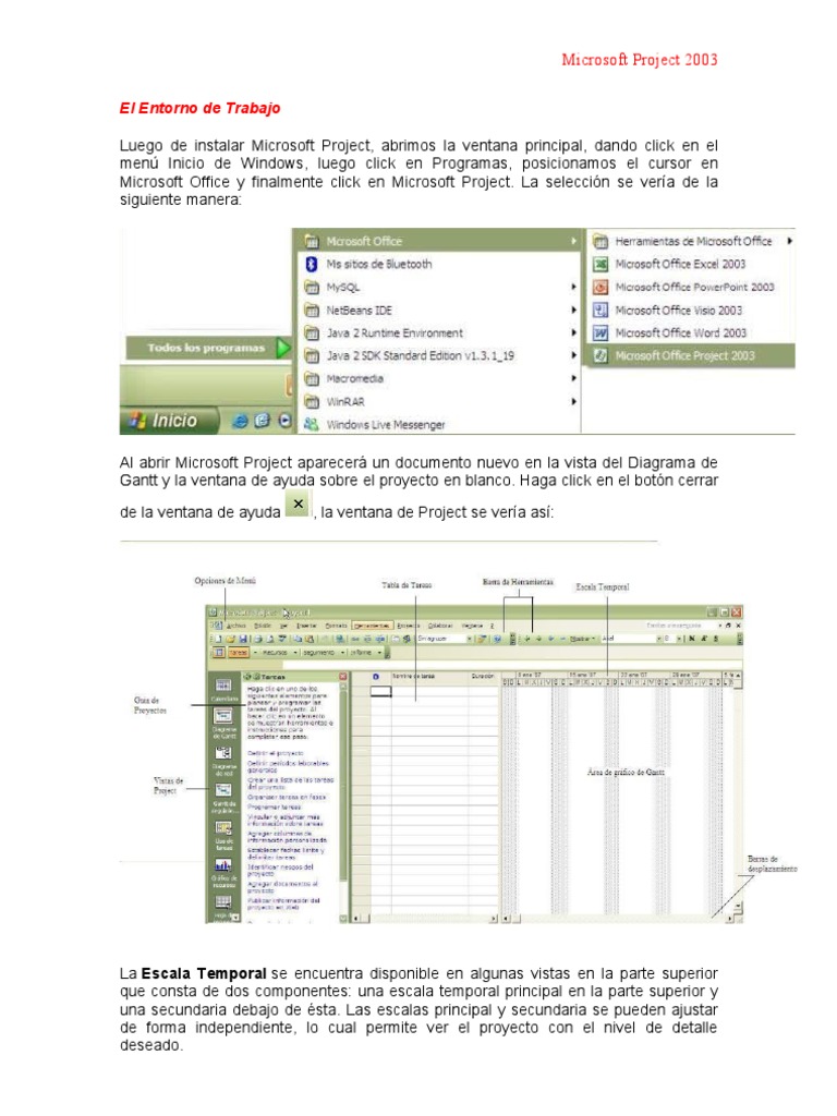 Microsoft Project 2003 | PDF | Ventana (informática) | Microsoft