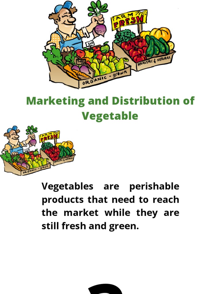 Marketing and Distribution of Vegetable | PDF