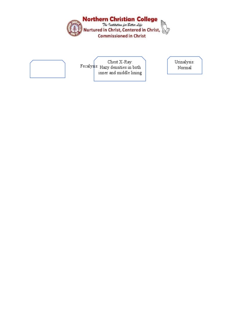 Urinalysis: Normal Chest X-Ray: Hazy Densities in Both Inner and Middle ...