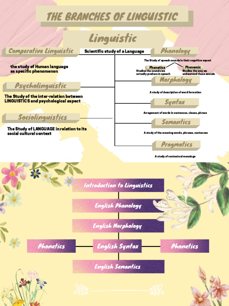 The Branches of Linguistic | PDF