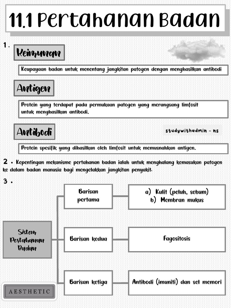 Bio B11 F4 Studywithadmin | PDF