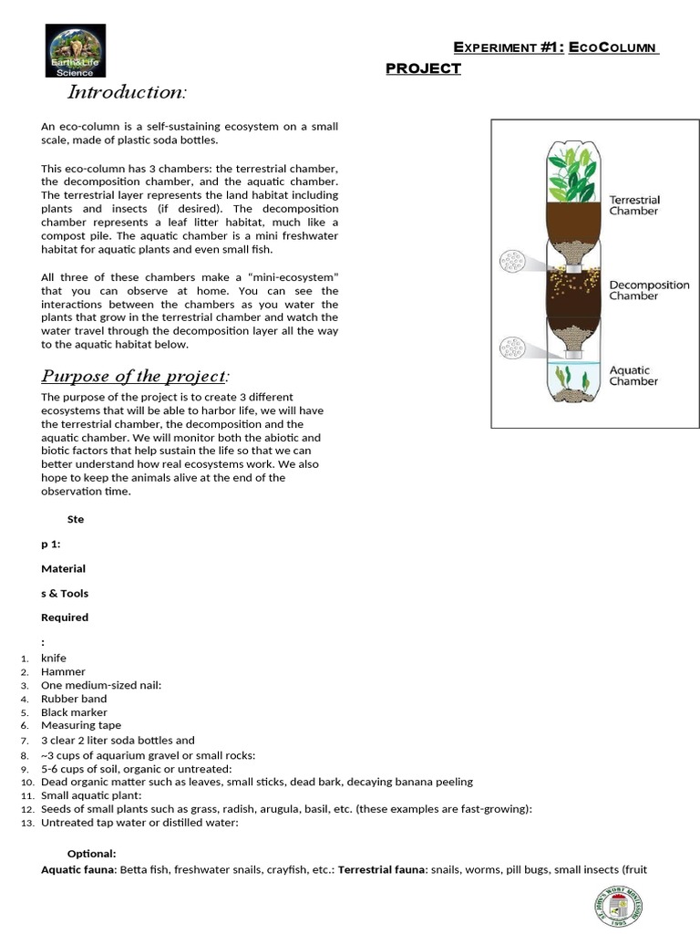 Trisha Mae de Vera Experiment 1 ECOCOLUMN PROJECT | PDF | Ecosystem ...