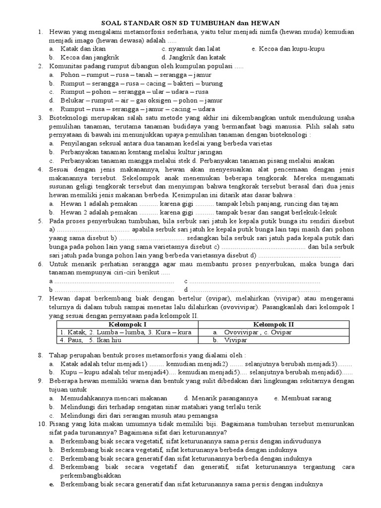 Soal Standar Olimpiade Sains Tingkat SD | PDF